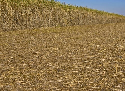 Raízen and German RWE studies new fuel for electricity production from ...