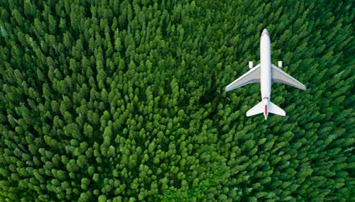 Takeoff for the green future: SAF plays a vital role in the planet's ...