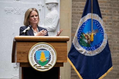 EUA lançam site unificado para monitoramento da mosca-da-berne-do-novo ...