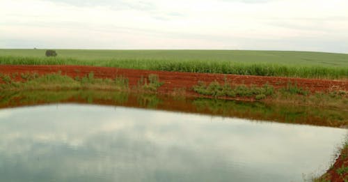 Takeoff for the green future: SAF plays a vital role in the planet's ...