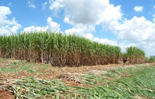 Agrishow: John Deere tests ethanol-powered tractor on Brazilian farms ...