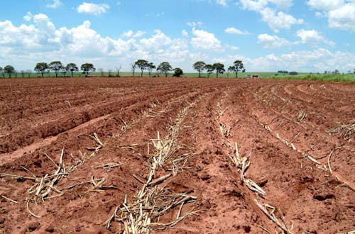 Takeoff for the green future: SAF plays a vital role in the planet's ...