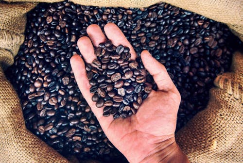 Main coffee areas in Brazil have been receiving frequent and heavy ...